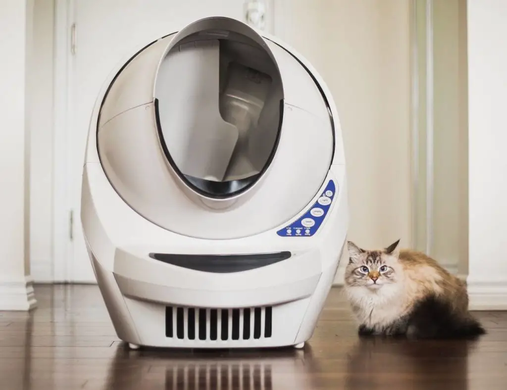 Litter Robot 2 Automatic Litter Box Review – Pet Brilliant.com