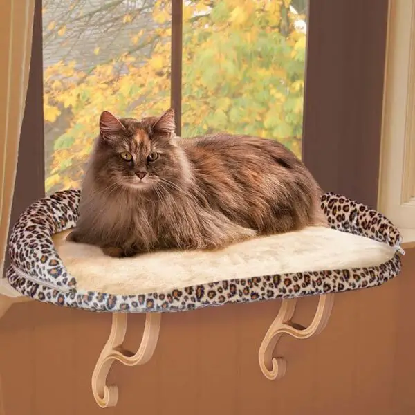 Pawslife Deluxe Window Cat Perch – Pet Brilliant.com