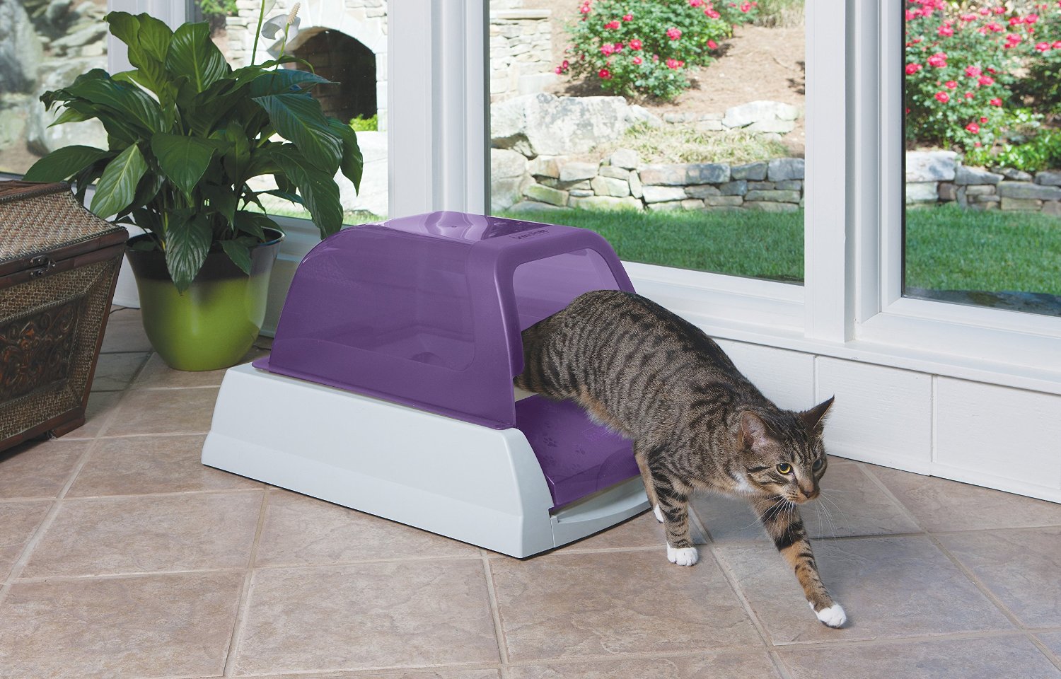 ScoopFree Litter Box ? Review – Pet Brilliant.com