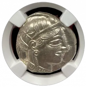 Alpha Omega Epsilon – What Does AOE Mean in Greek? – Pet Brilliant.com